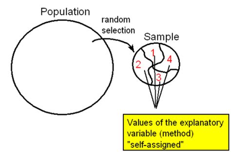 Forest Biometrics Unit 2 Flashcards Quizlet