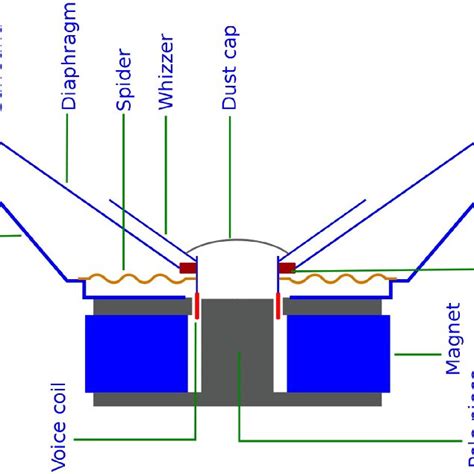 Cross Section Of A Loudspeaker [15] Download Scientific Diagram