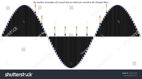Sample Rate Bit Depth Stock Vector Royalty Free Shutterstock