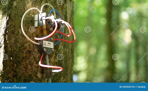 BRNO CZECH REPUBLIC AUGUST 15 2022 Science Station Scientific Measurement Tree Sap Flow