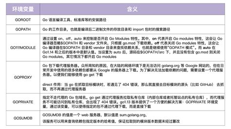 02 环境准备：如何安装和配置一个基本的 go 开发环境？