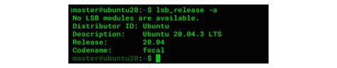how to install magento 2 4 4 on ubuntu 20 04 🚀 tutorial