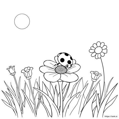 Ladybug Coloring Book