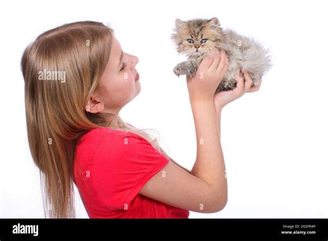 Small Persian Cat Atelier Yuwaciaojp