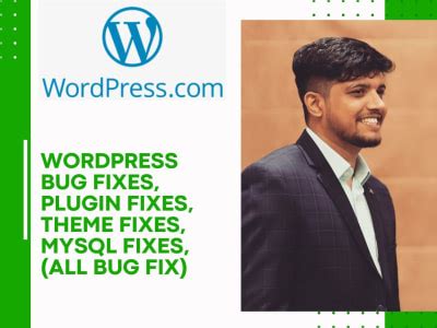WordPress Bug Login Problem Plugin Theme Fixes Database All Bug Fix Upwork