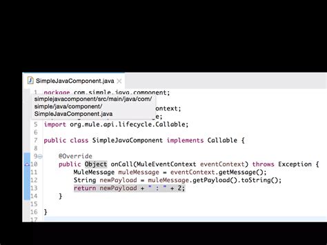 Simple Java Component In Mule Ppt