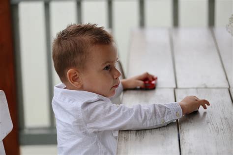 무료 사진 아이 아들 아이 소년 어린 시절 실내 초등학교 귀여운 보고 앉아