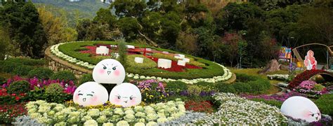 Demystifying Knowledge Distillation Unleashing Powerful Efficient Models Nothing But Ai