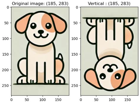 Pytorch 공부 0 Torchvision의 주요 모듈 1 Torchvision Transforms 2