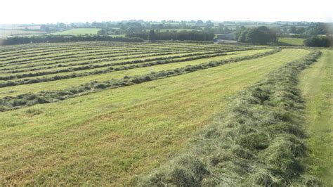 Is Wilting Grass Silage Really Important Agrilandie