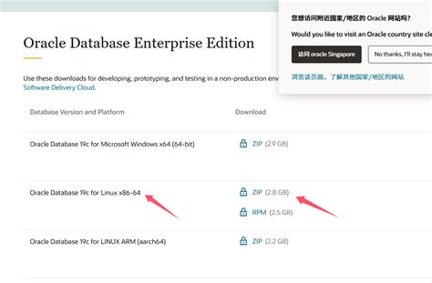 待验证 oracle 19c 在 centos 7 上的快速安装部署指南 centos7 安装oracle 19c csdn博客