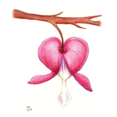 Bleeding Heart Flower Art
