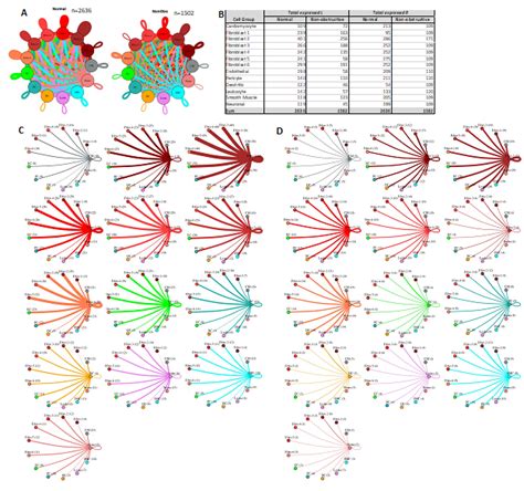 Single Nucleus Rna Sequencing Reveals Altered Intercellular