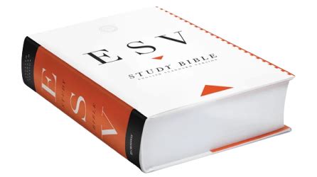 The Excellence Of Esv Bible — In Depth Guide For Seekers