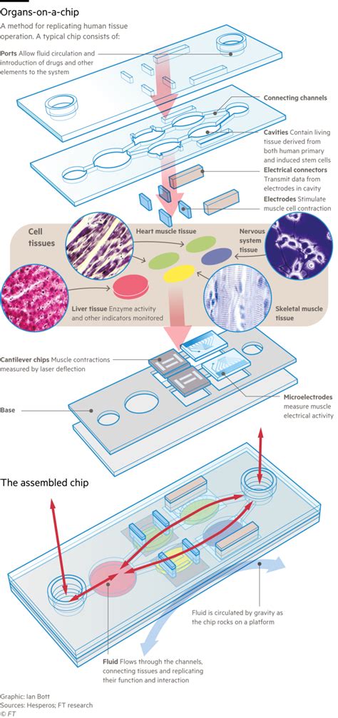 Five Scientific Breakthroughs To Cheer You Up Financial Times