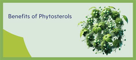 Explaining The Science Of Phytosterols In Skin Care Skin Type Solutions