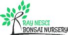 Home Ray Nesci Bonsai Nursery