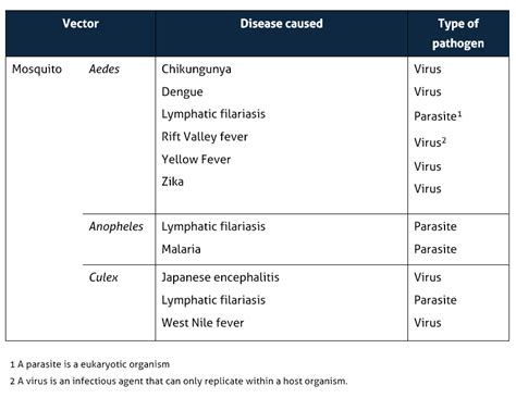 Examples Of Vector Borne Diseases To Know