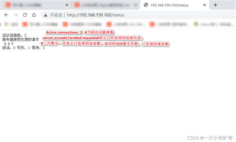 Nginx 编译安装与配置nginx Prefix Csdn博客