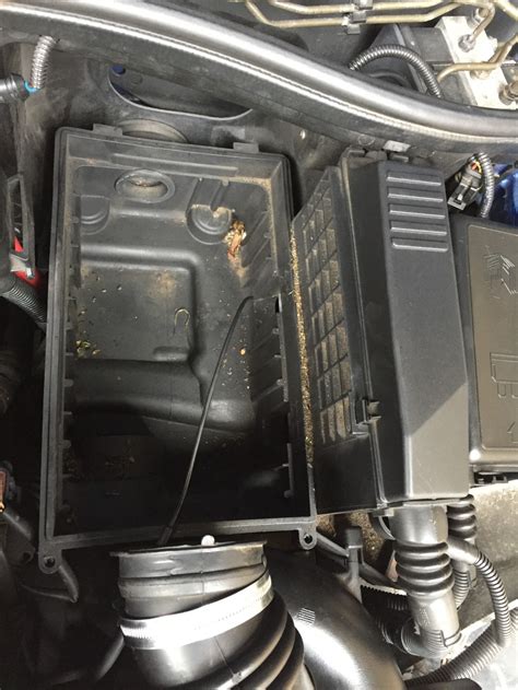 IMG Hosted At ImgBB ImgBB