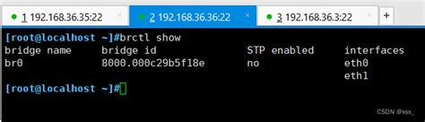 linux 网桥br0配置 linux br0 csdn博客