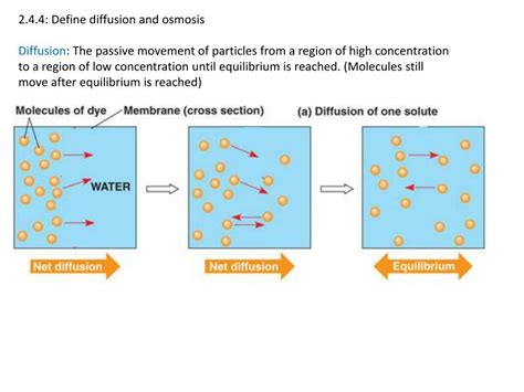 Diffusion Definition