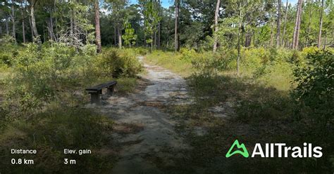 Gopher Tortoise Trail Georgia 87 Reviews Map Alltrails