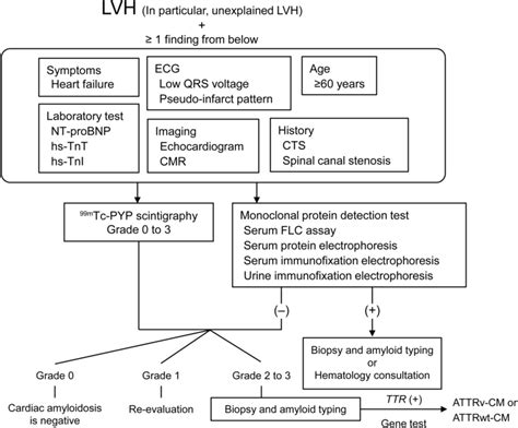 Sequential Diagnostic Algorithm For Attrwt‐cm 99mtc‐pyp Download