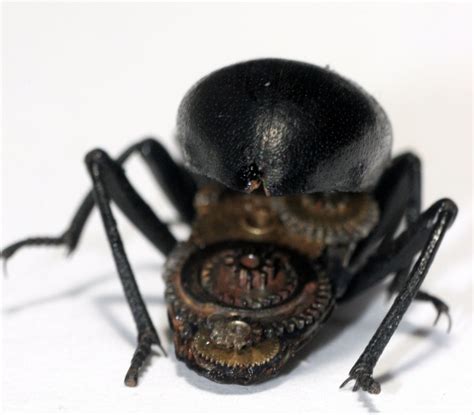 Clockwork Beetle 6 Steps With Pictures Instructables