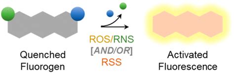 Activity Based Sensing