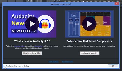 Information Window Windows Audacity Forum