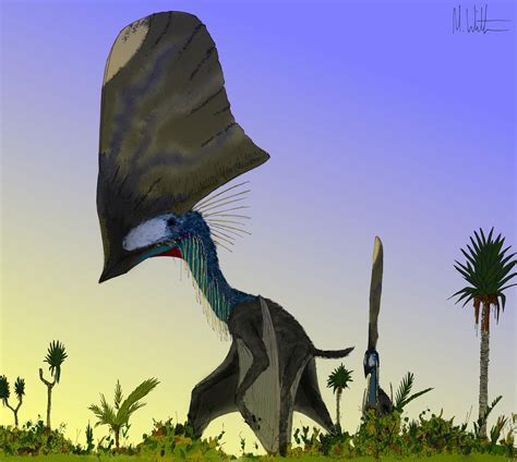 Tupandactylus Imperator Beschreibung Dinodatade