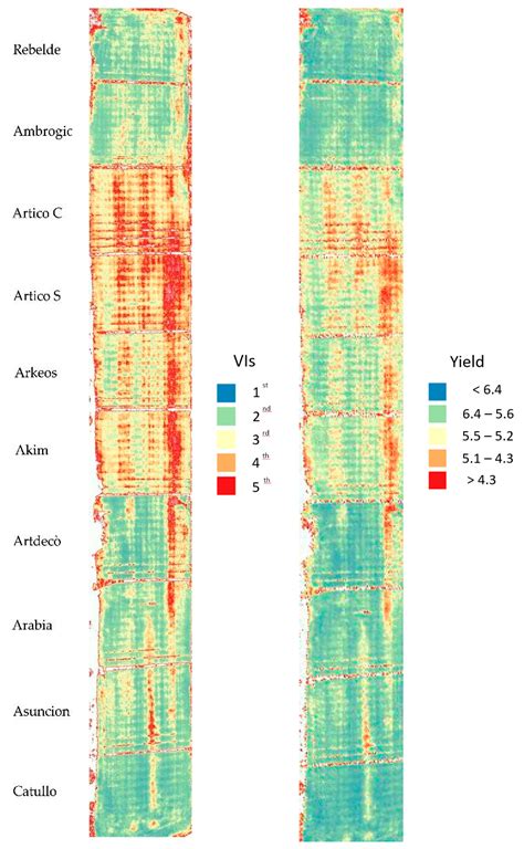 Remote Sensing Free Full Text Agronomic Traits Analysis Of Ten Winter Wheat Cultivars