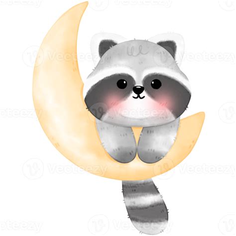 Linda Ilustración De Mapache 17340073 Png