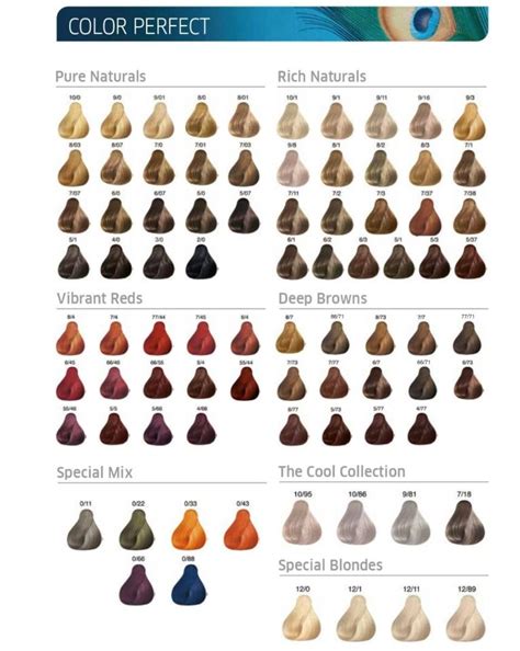 carta color perfect wella professionals nicolás arias