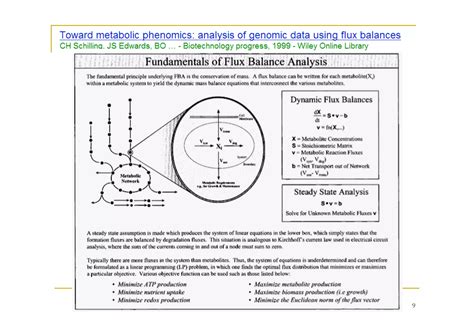 metabolic network analysis pdf