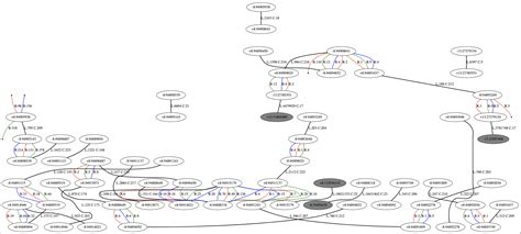 github kolmogorovlab severus