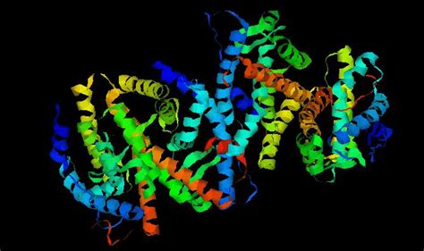 Crystal Structure Of Lignad Binding Domain Of The Estrogen Related Download Scientific Diagram