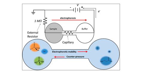 Gradient Elution Moving Boundary Electrophoresis With Field Amplified Continuous Sample