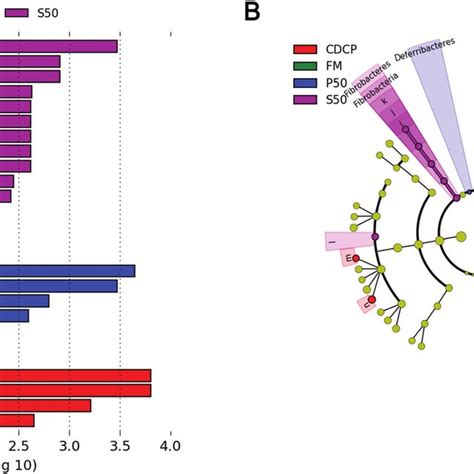 Lefse Analysis Of Colonic Microbiota Among Different Dietary Groups