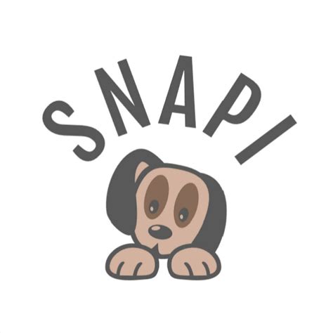 Snapi Youtube