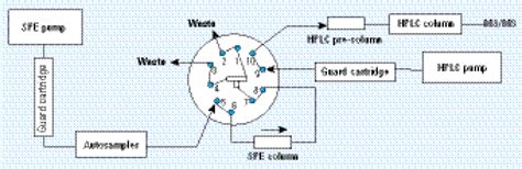 On Line Spe Hplc Msms Configuration Adapted From A Previous