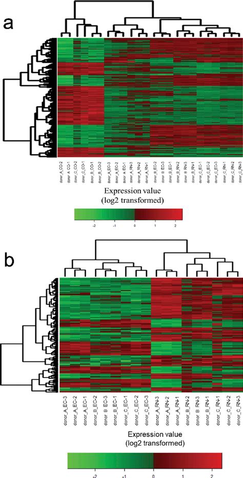 Microarray Based Heat Maps Of Differentially Expressed Gene Probes In