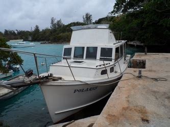 Nonsuch Island Natural Selection Sex In The Wild