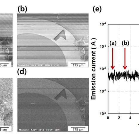 Scanning Secondary Electron Image With Cnt Cold Cathode Gun Ad Sem Scanning Secondary Electron Image With Cnt Cold Cathode Gun Ad Sem