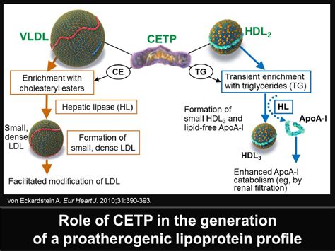 Low Serum Levels Of Hdl Cholesterol Hdl C Are Consistently Associated