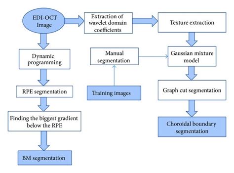 Choroid Segmentation Algorithm Overview Download Scientific Diagram