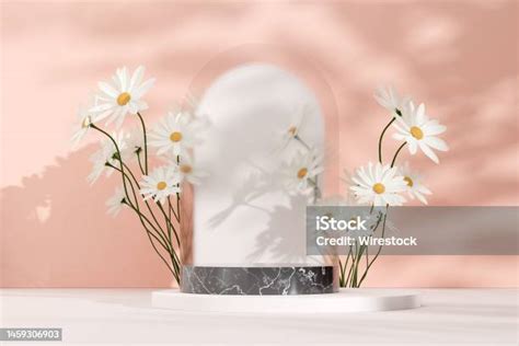 제품에 대 한 복사 공간 연단 디스플레이와 일반적인 데이지의 분홍색 3d 렌더링 그림 3차원 형태에 대한 스톡 사진 및 기타 이미지 3차원 형태 꽃 식물 0명