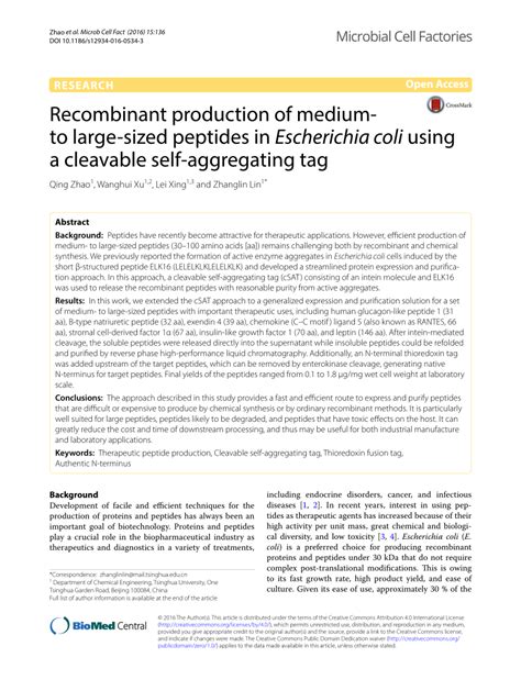 Pdf Recombinant Production Of Medium To Large Sized Peptides In Escherichia Coli Using A