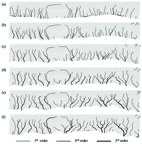 The Typical Morphological Patterns Used In The Experiment A A Tidal
